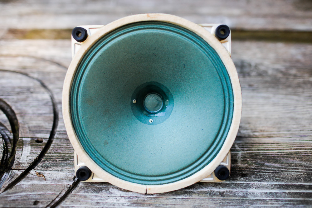 Glow in the Dark Audio - Saba Greencone Wideband Driver